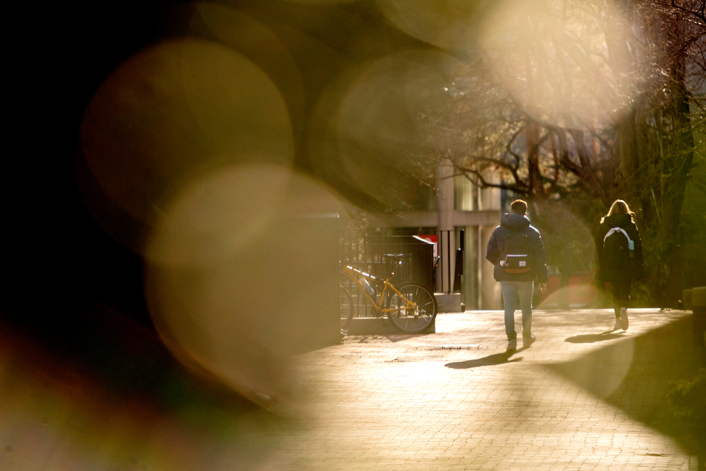 Spring semester - Northeastern Global News