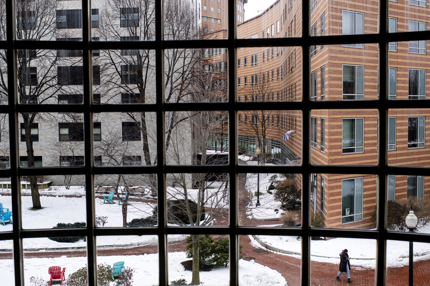 Window into campus - Northeastern Global News