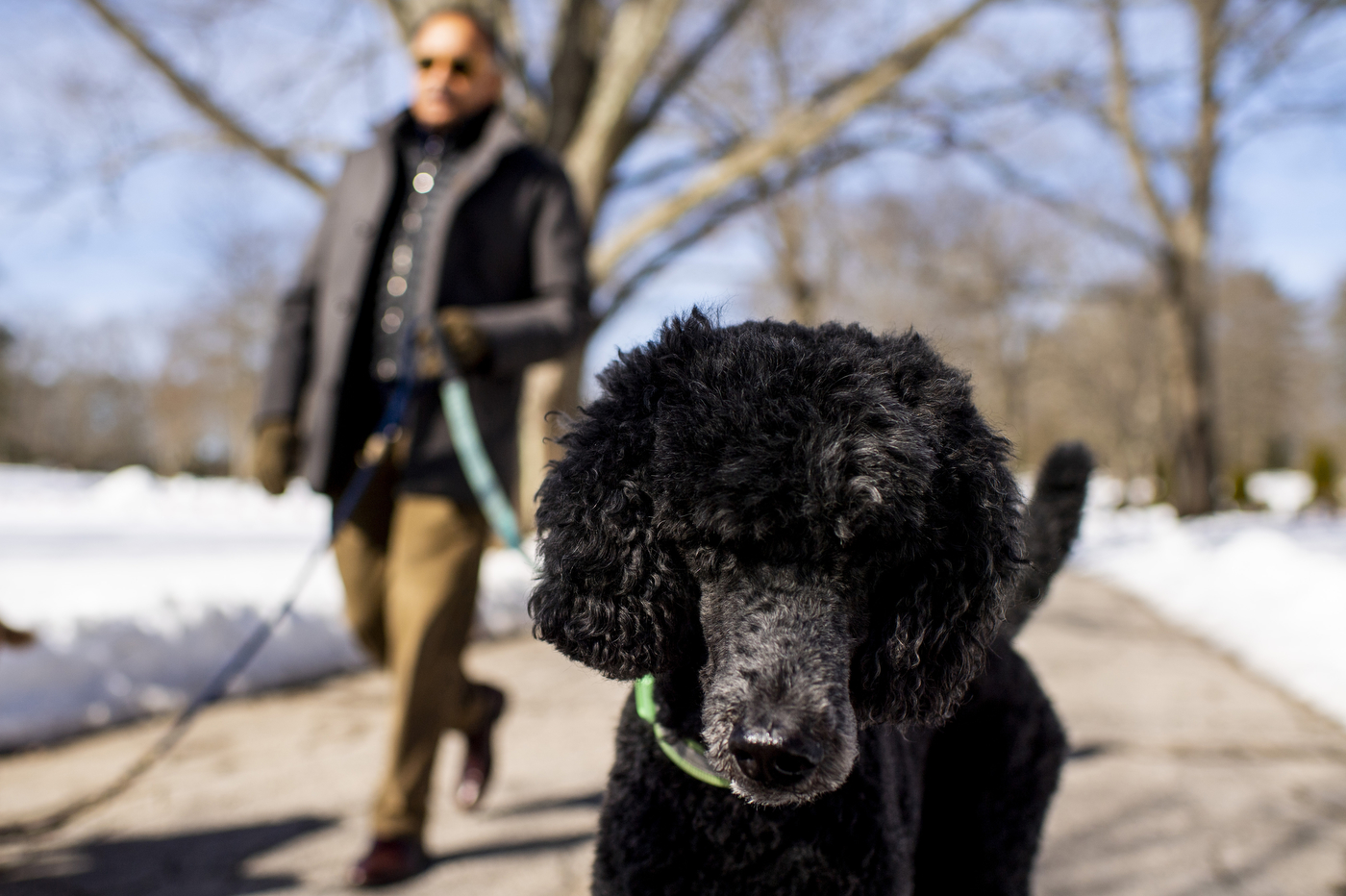 The story of Ralph Martin endures - Northeastern Global News