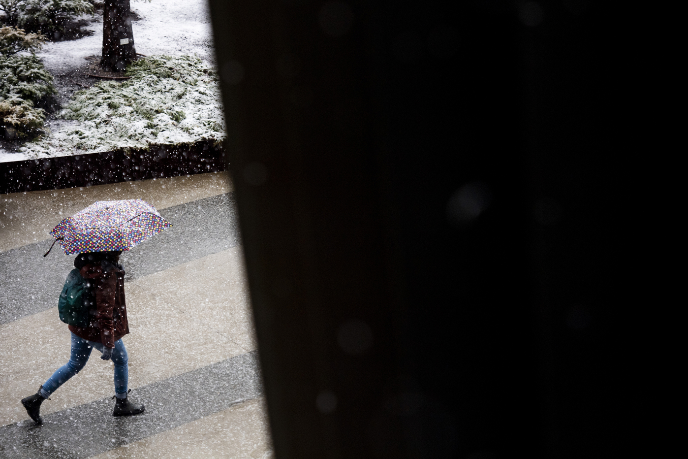 Spring snow showers - Northeastern Global News