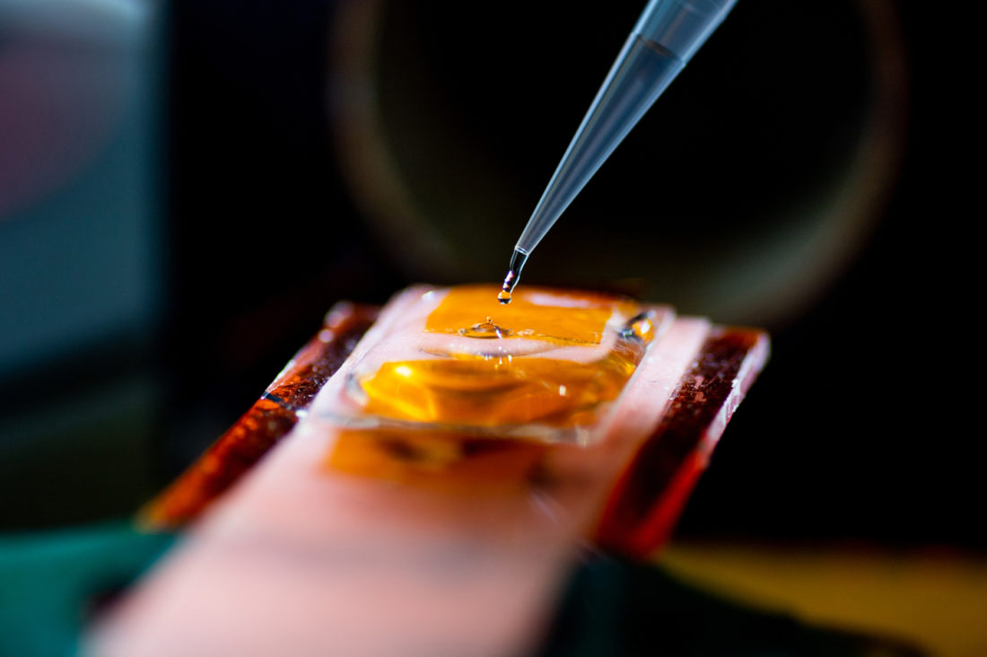 April 2021 in photos - News @ Northeastern