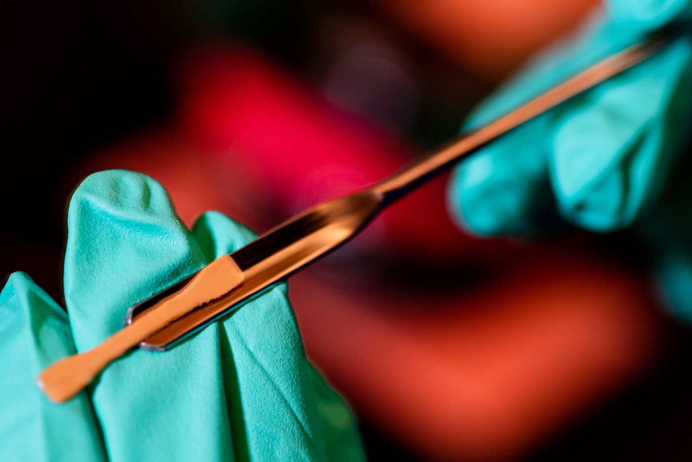 Building Better Bones While Encouraging Diversity in Science