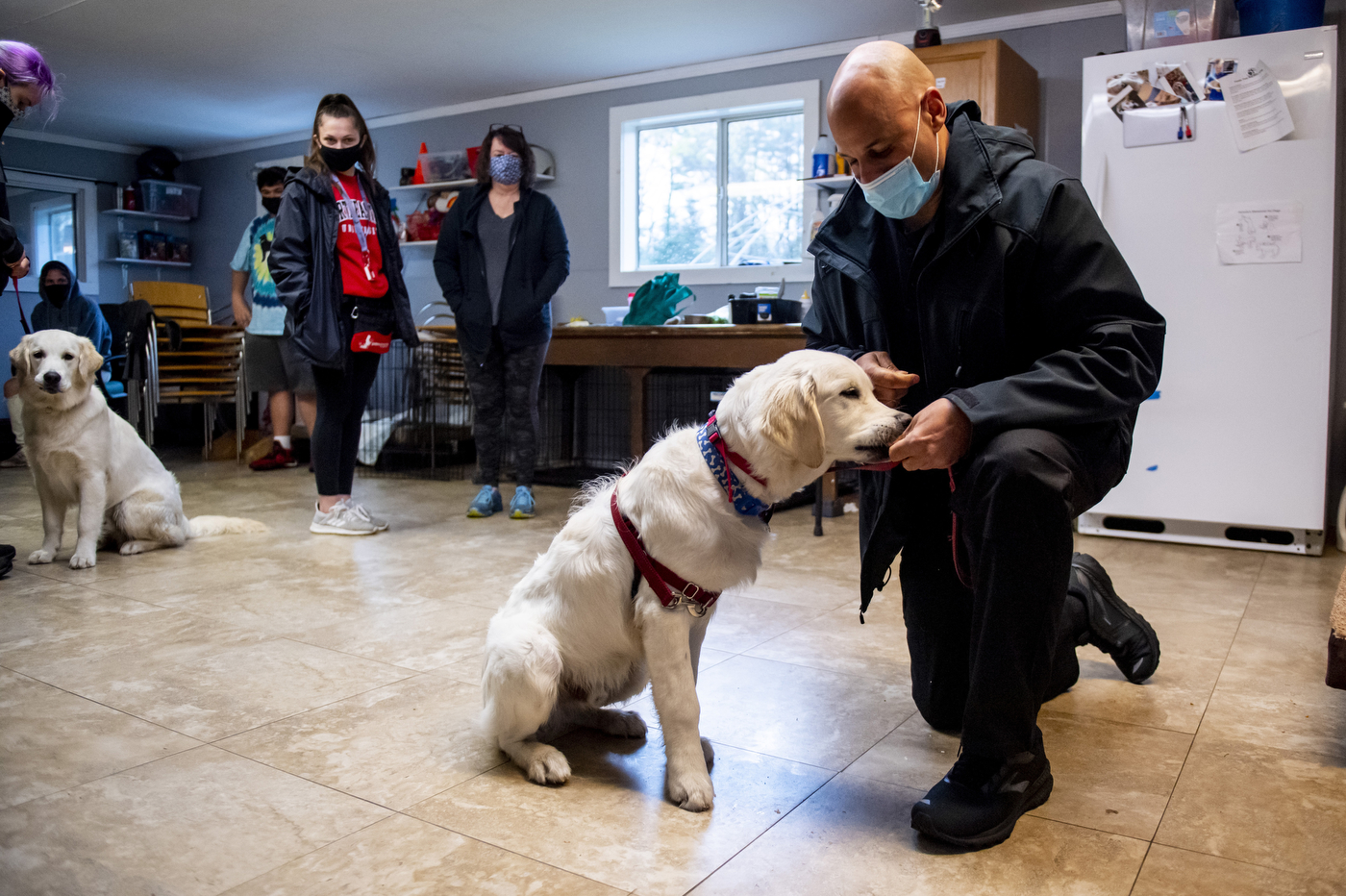 Help us name the new Boston campus comfort puppy - Northeastern Global News