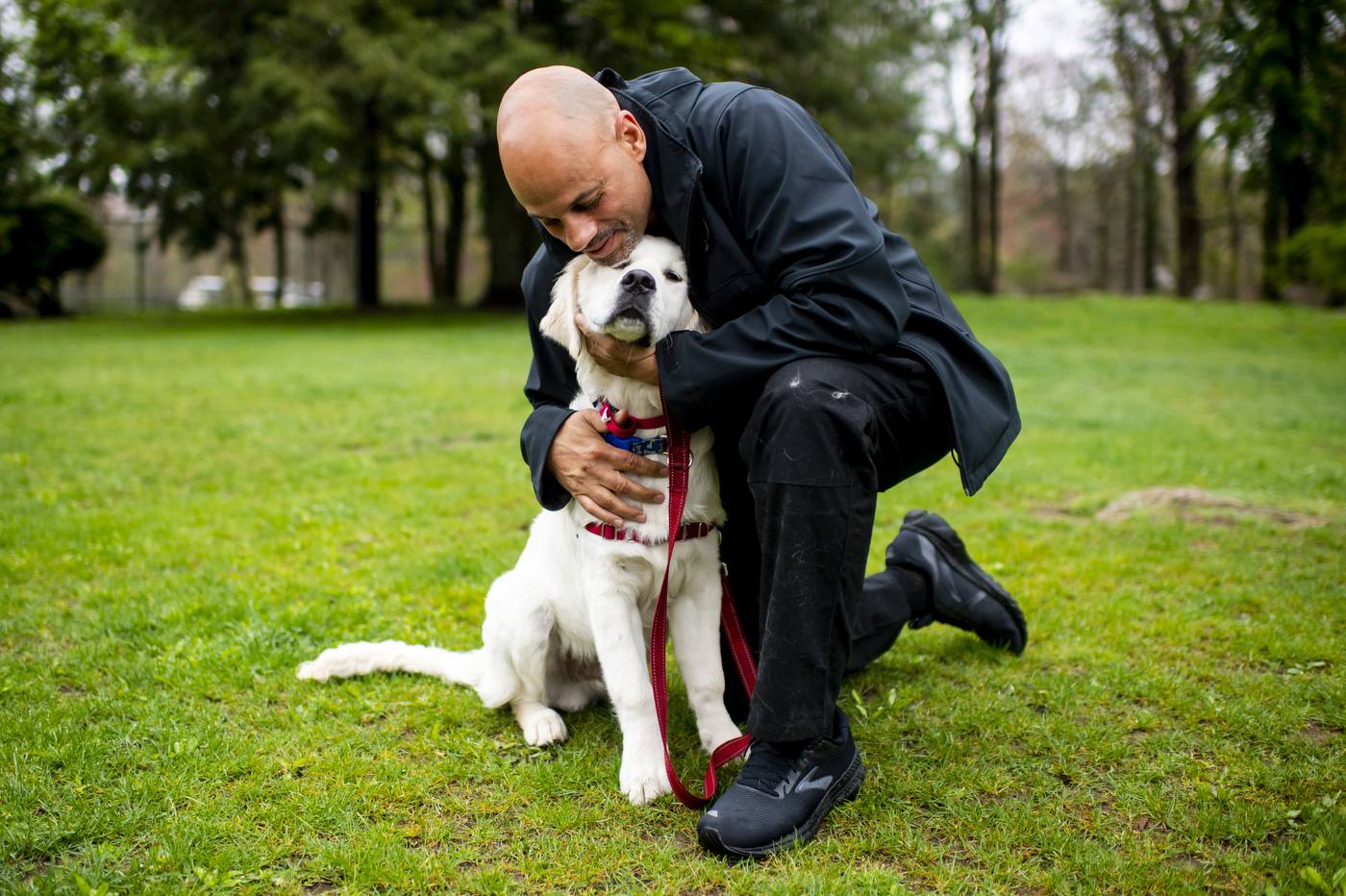 Help us name the new Boston campus comfort puppy - Northeastern Global News