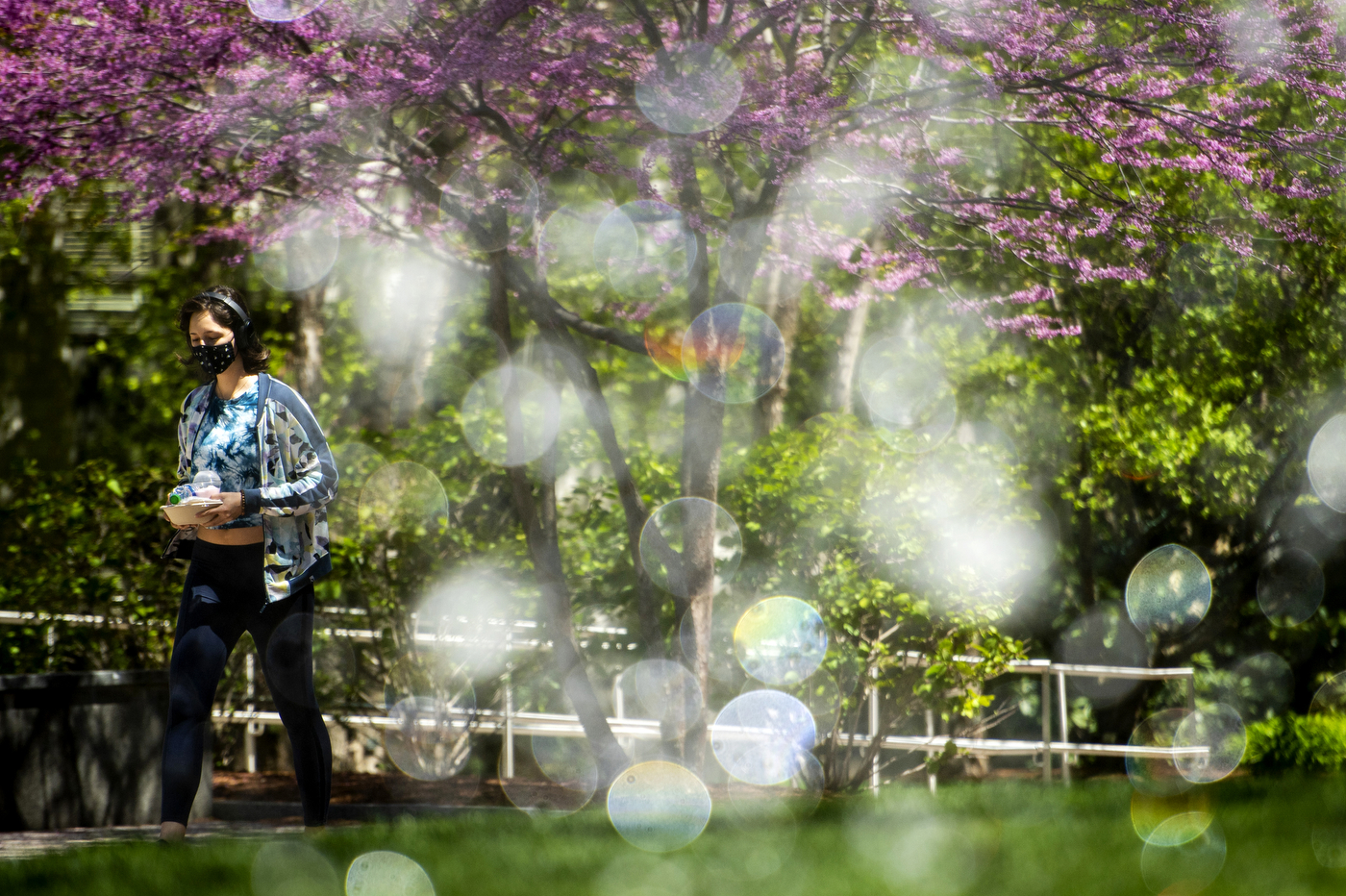 Spring walk - Northeastern Global News