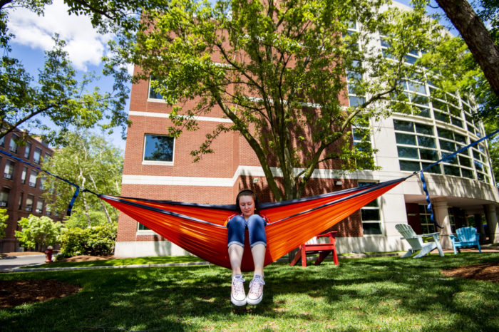 Try summer the hammock way. ‘It’s a laid-back life.’ - News @ Northeastern