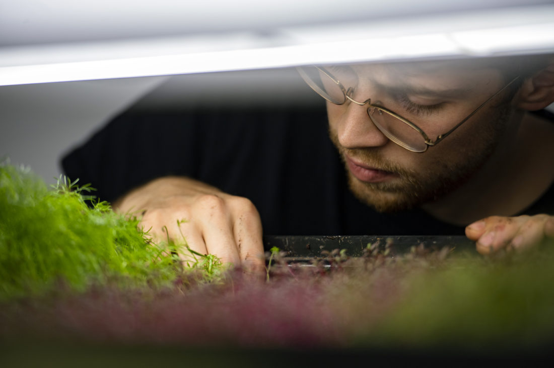 A sprouting subscription service kept this microgreens farmer growing ...