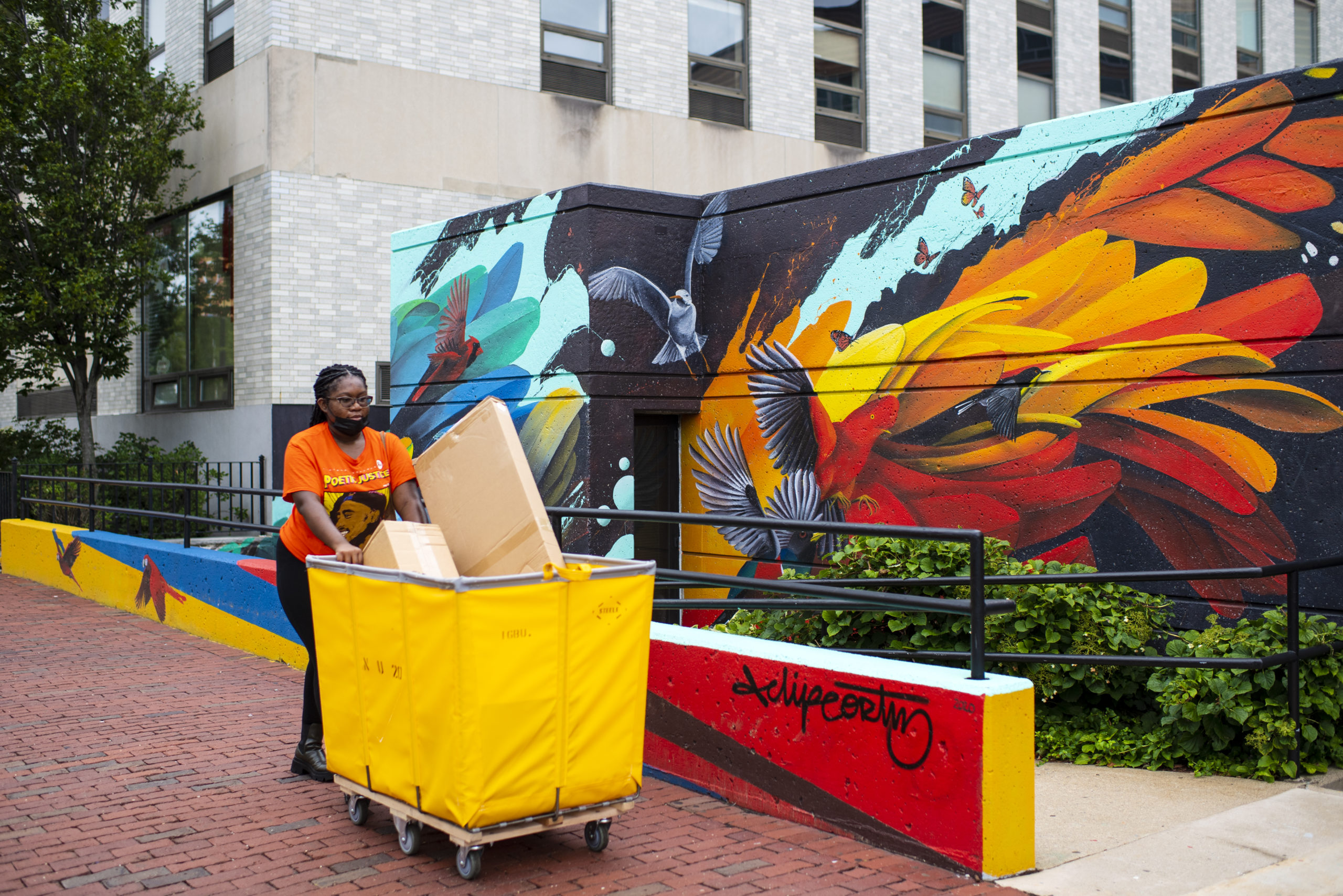 Seen Around - Northeastern Global News