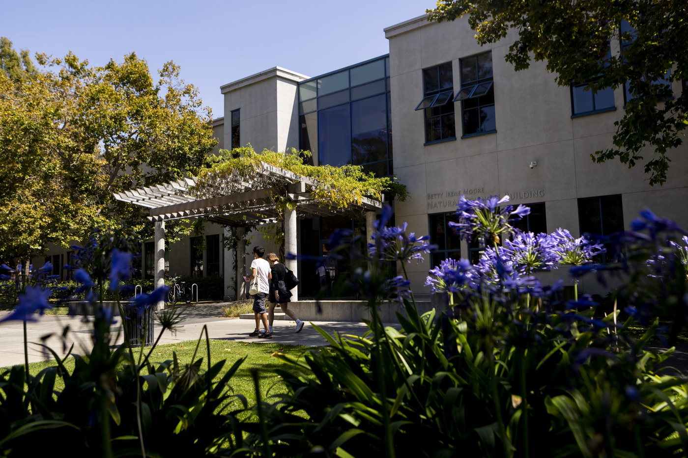 New Social Justice Program at Mills College Launching in Spring