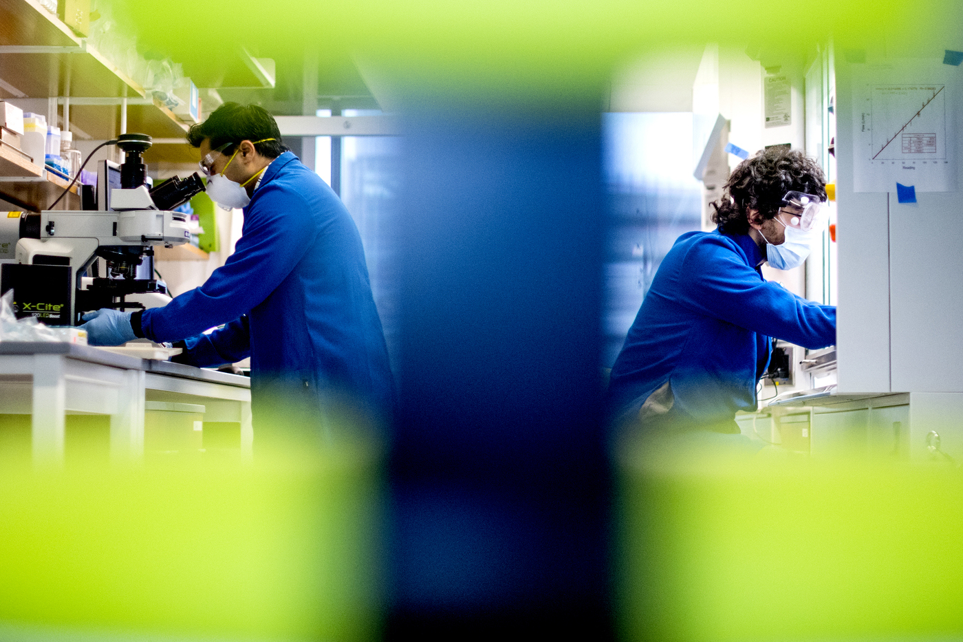 Northeastern to Hire 500 New Faculty Members in Five Years