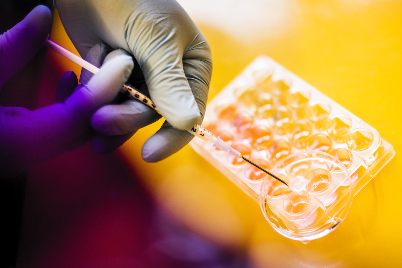 Northeastern University Wins Federal Build Back Better Grant