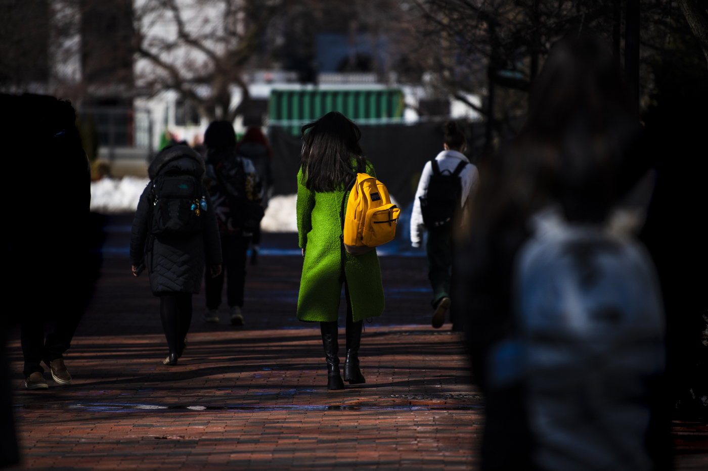 Afternoon Light - Northeastern Global News