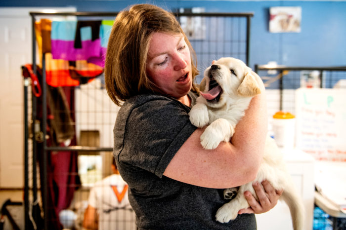 Cooper the campus pup is growing up - News @ Northeastern - News ...