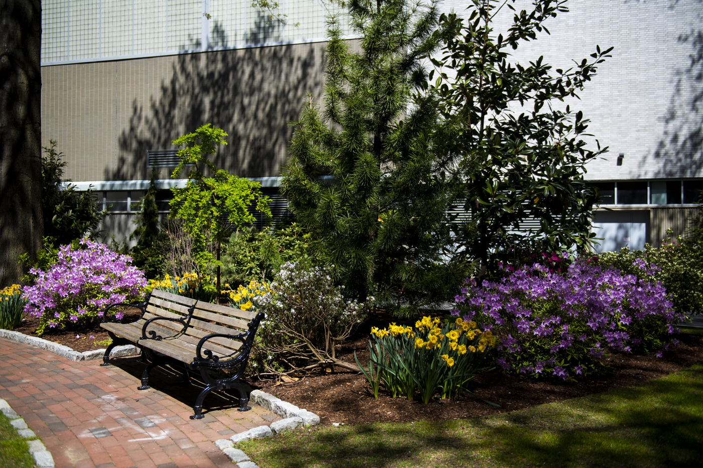 7 Great Commencement Photo Spots on Northeastern's Boston Campus