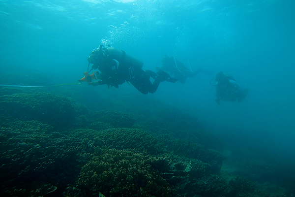 Take a Deep Dive Into Northeastern's Three Seas Program