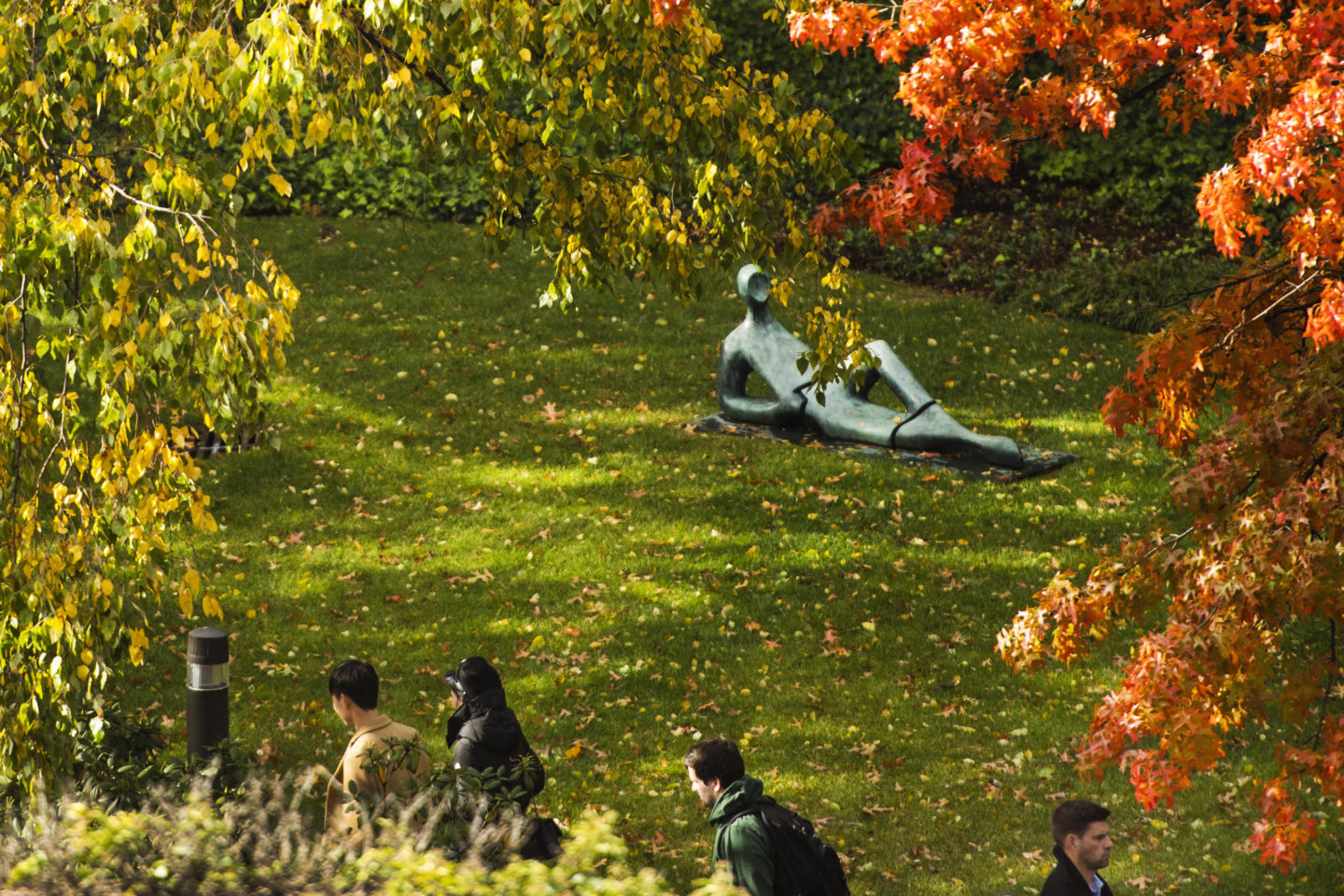 Free fall - News @ Northeastern - News @ Northeastern