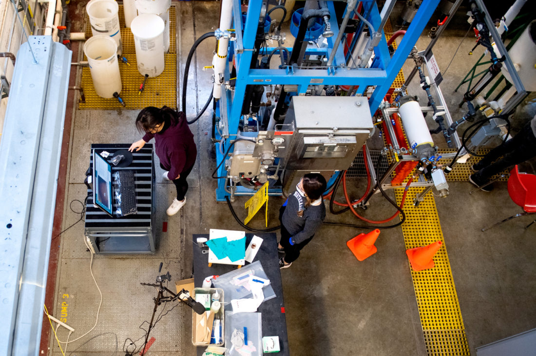 Running experiments­–at home and in the lab - News @ Northeastern ...