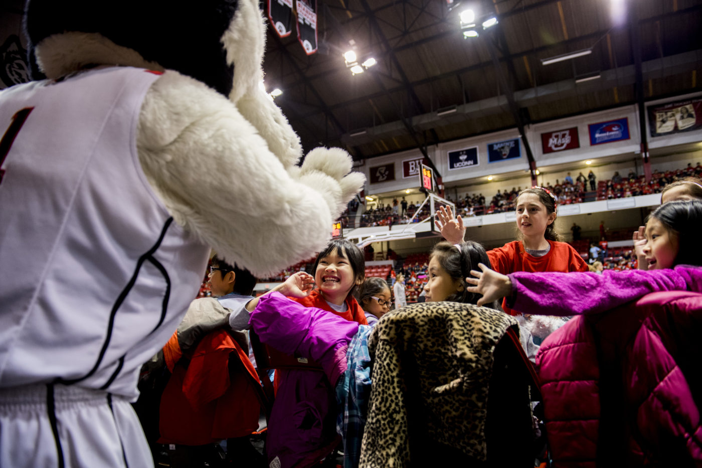 Field Day at Matthews Arena - News @ Northeastern - News @ Northeastern