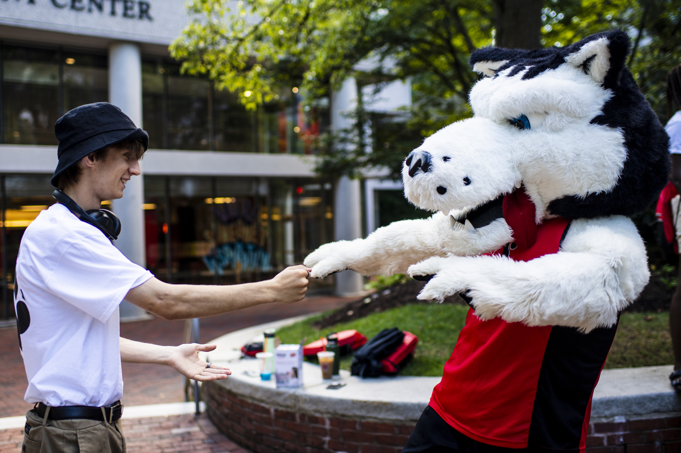 Paws-ing around - Northeastern Global News