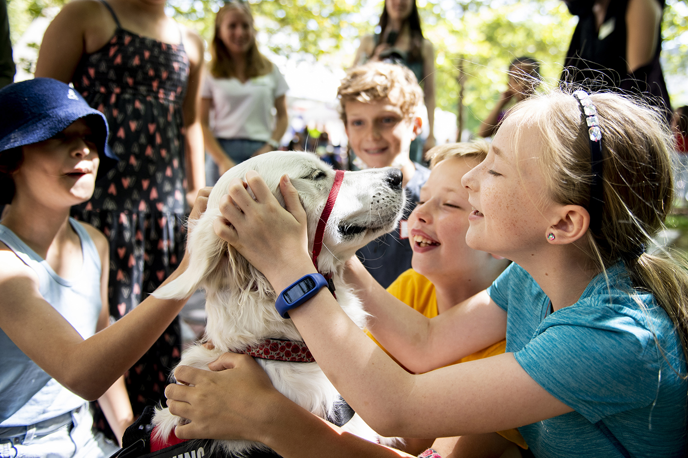 Poppy petting - Northeastern Global News