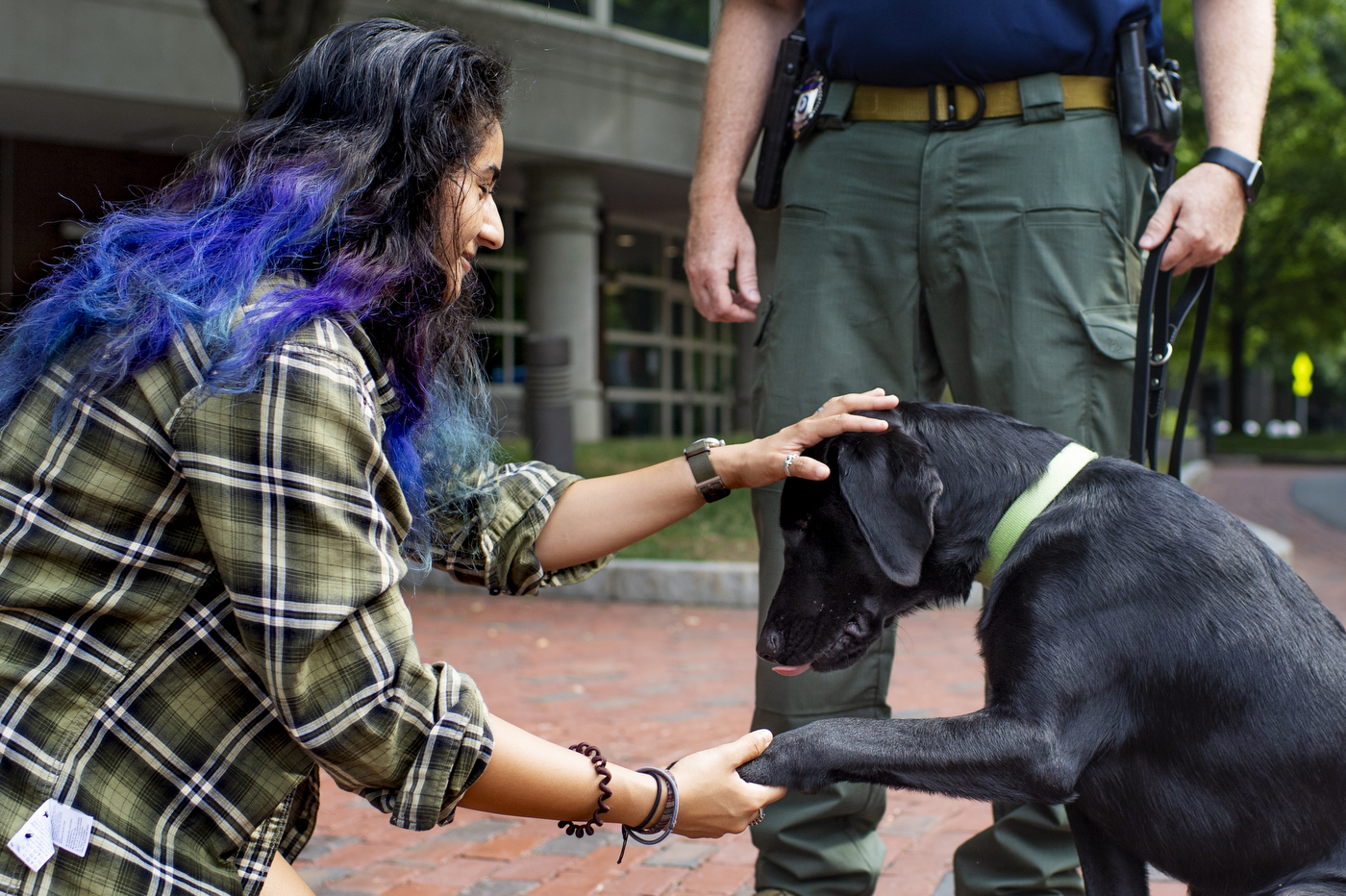 Meet Sarge, Northeastern's Newest Community Dog
