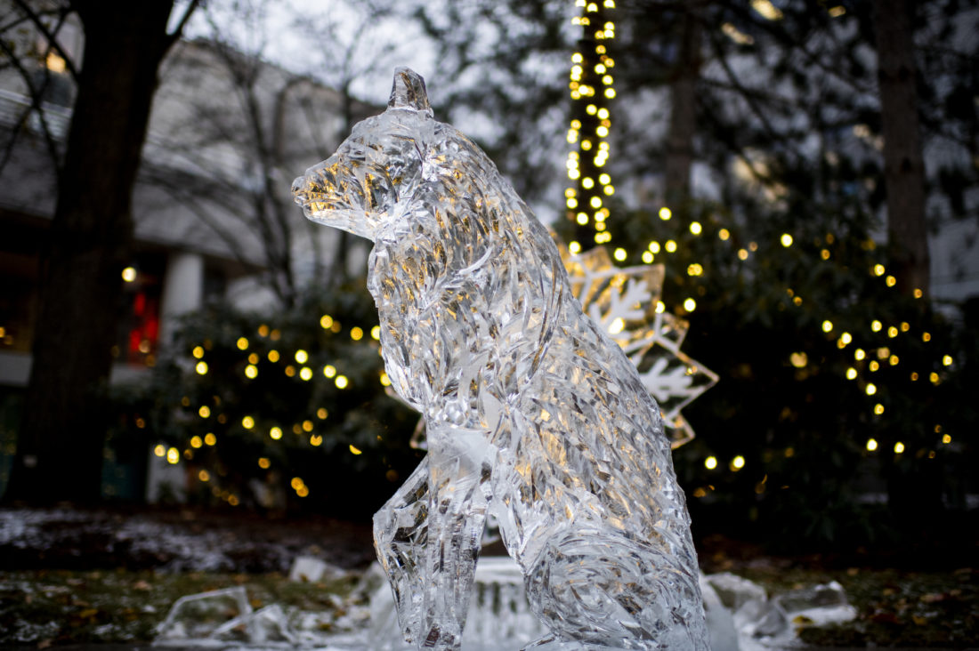 Winter arrives - News @ Northeastern - News @ Northeastern