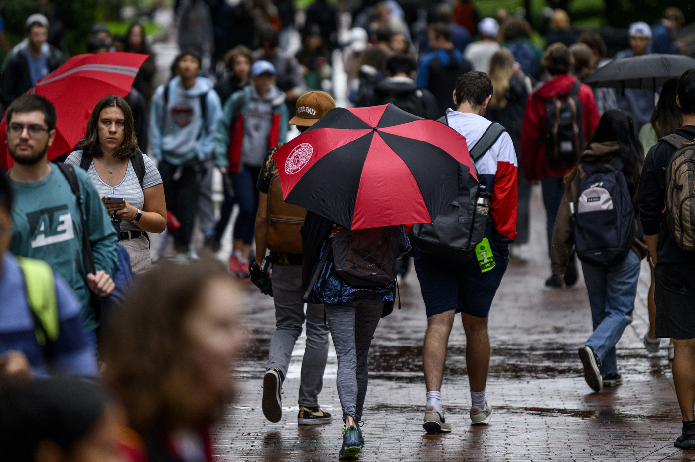 Photos of the week: Sept. 19-23 - Northeastern Global News