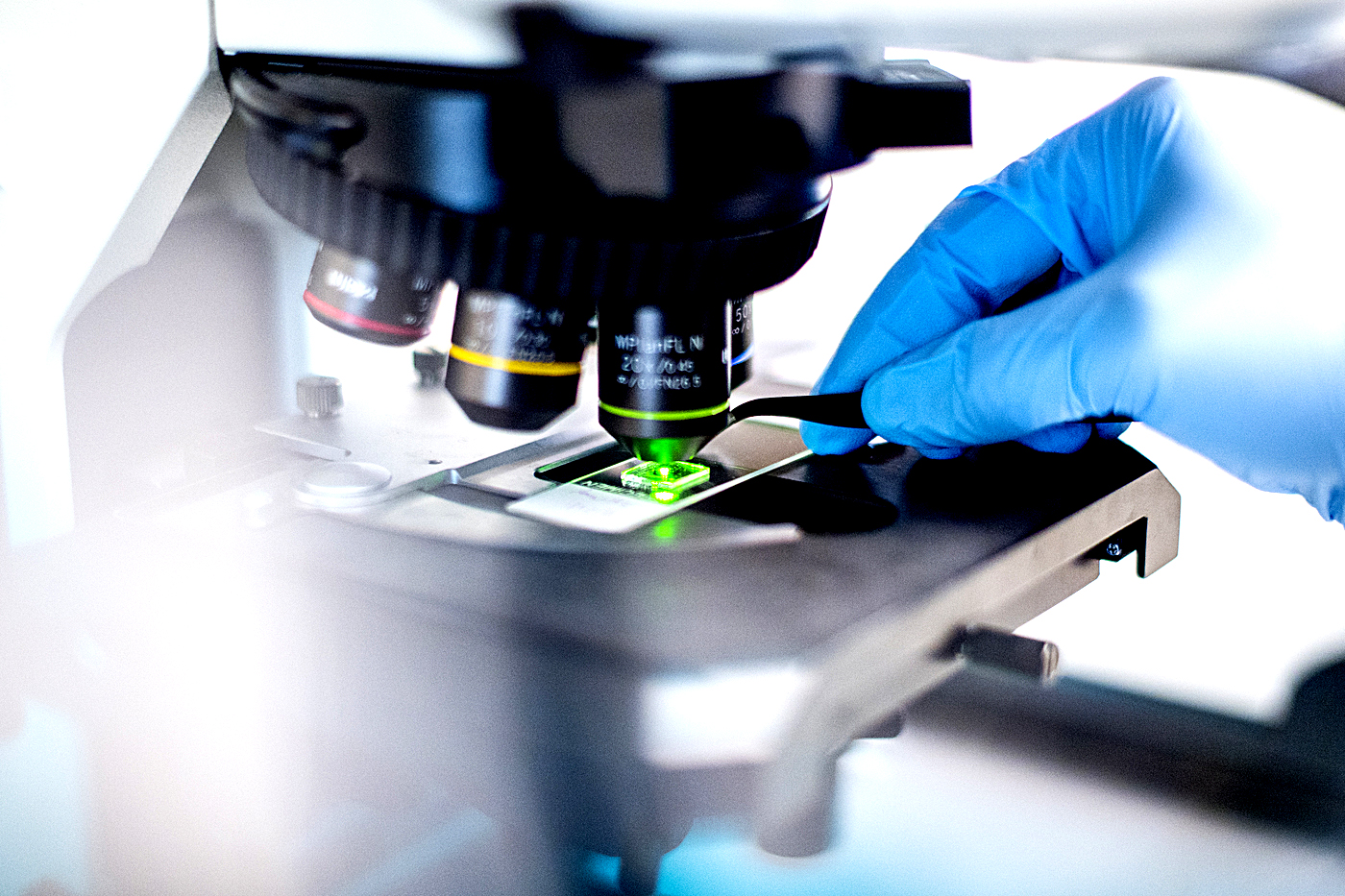 $230 million in new awards for Northeastern University research