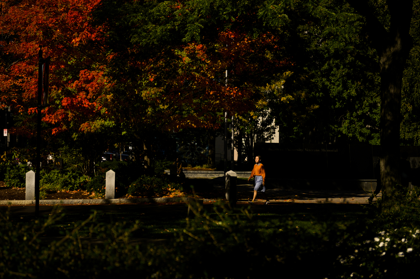 Fall is here - Northeastern Global News