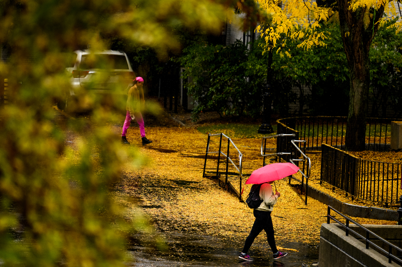 Crisp morning walk - Northeastern Global News