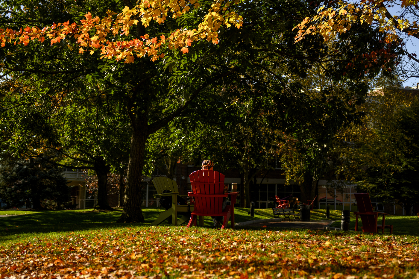 Photos of the week Oct. 24-28 - Northeastern Global News