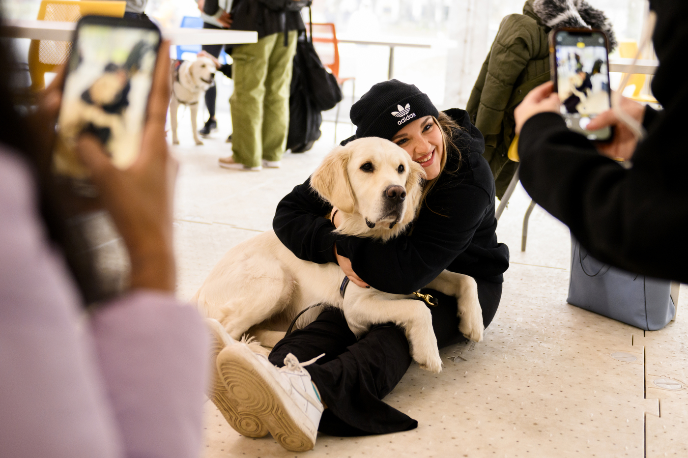 PAW-ty! - Northeastern Global News