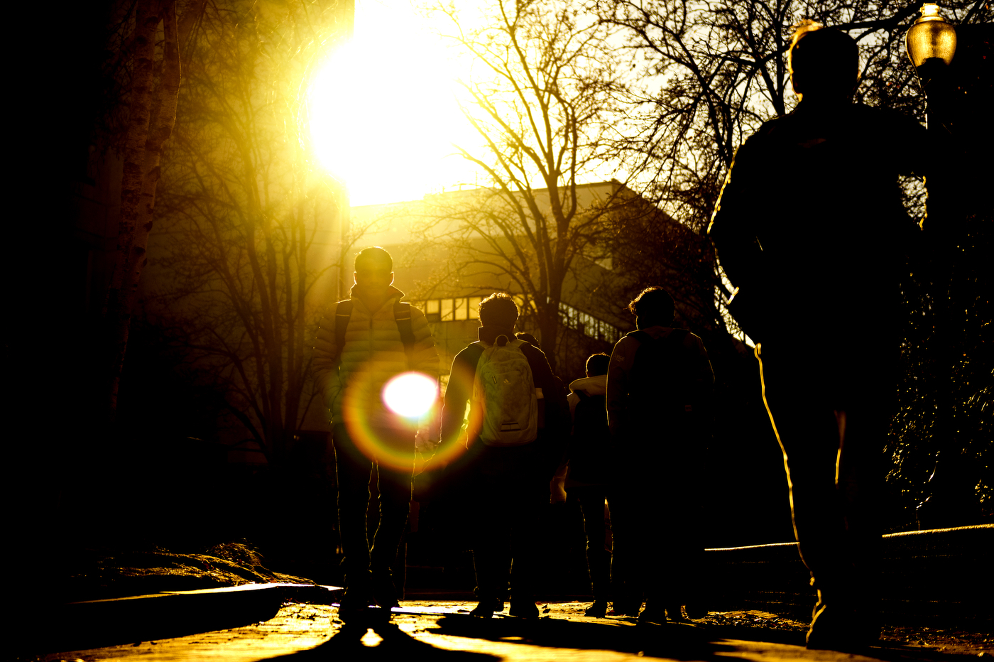 Photos of the week Dec. 12-16 - Northeastern Global News