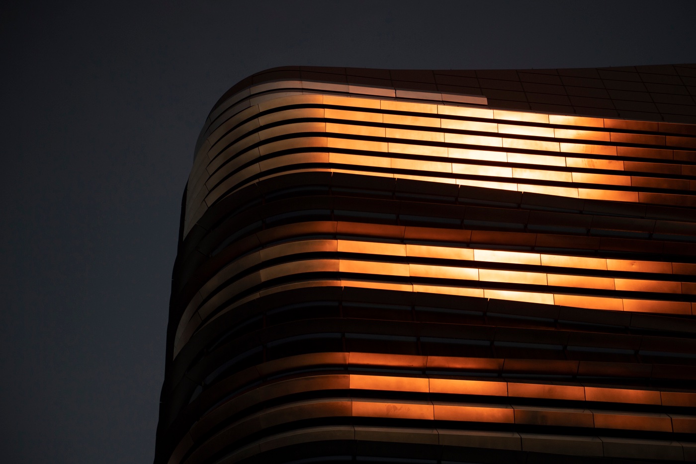 2022 In Photos - Northeastern Global News