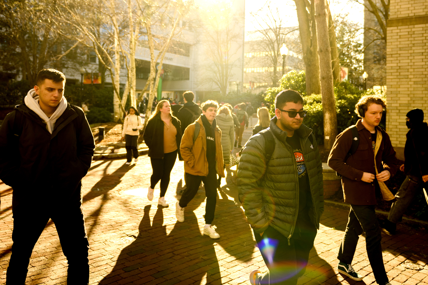 A moment in the sun - Northeastern Global News