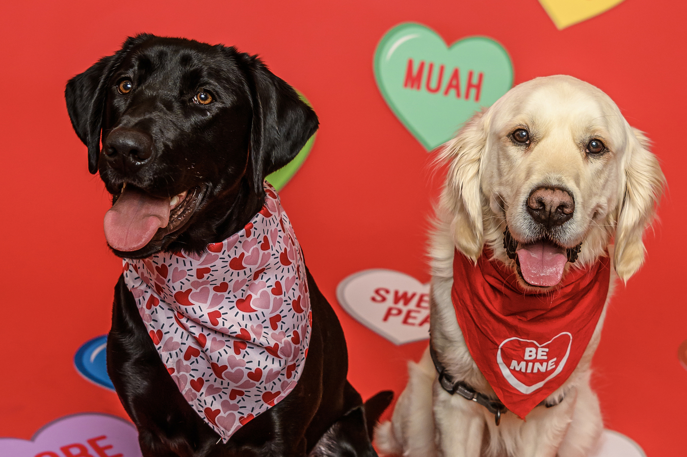 Seen around - Northeastern Global News