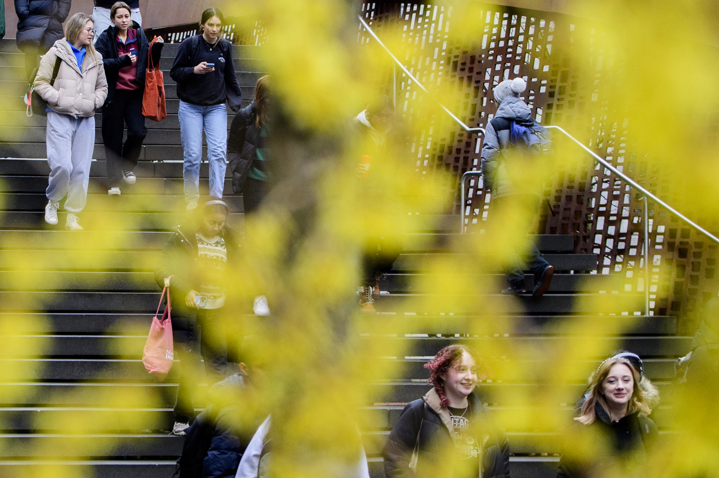 A stroll through campus - Northeastern Global News