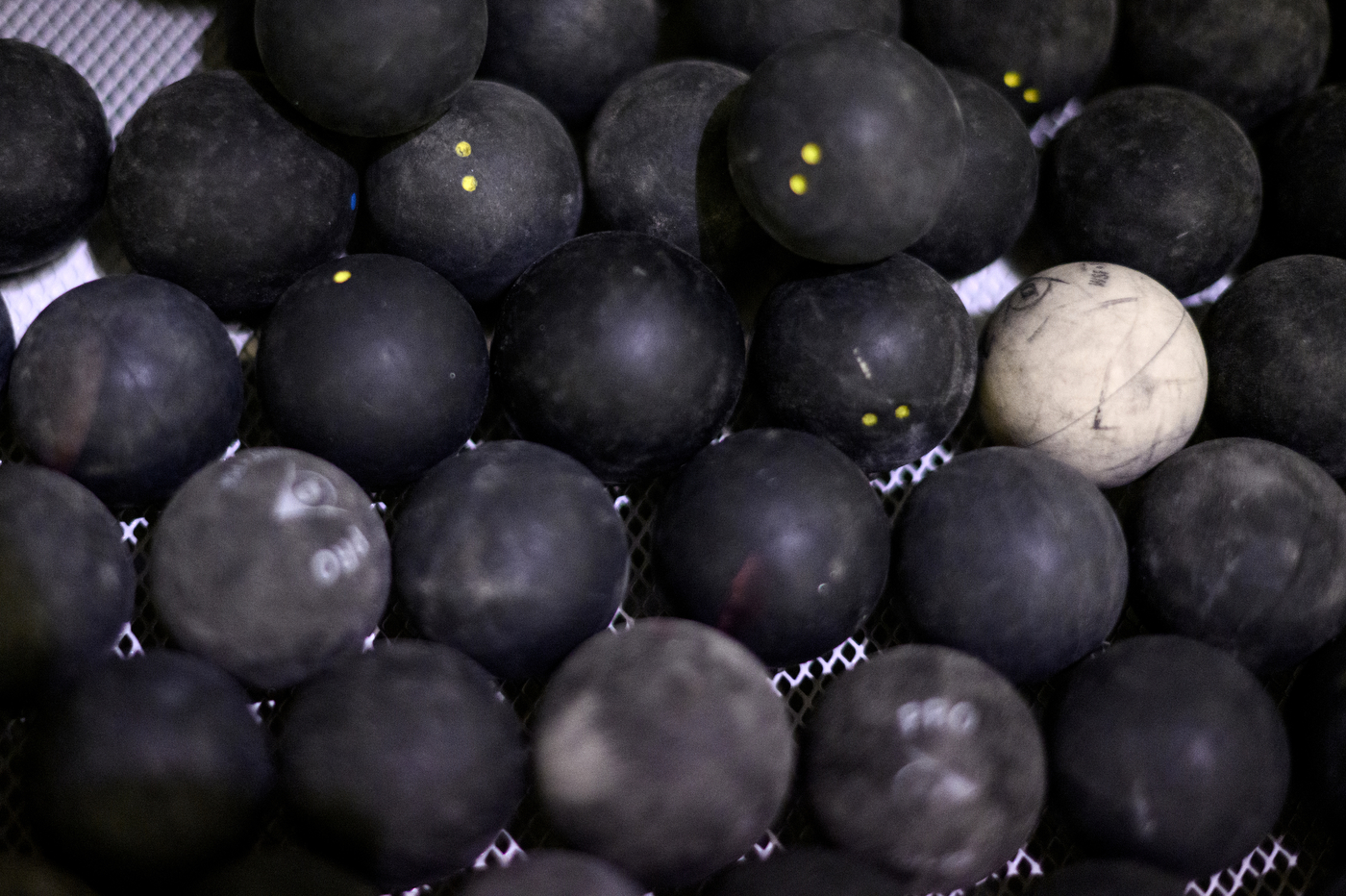 SquashBusters Celebrates 20 Years of Developing Young People