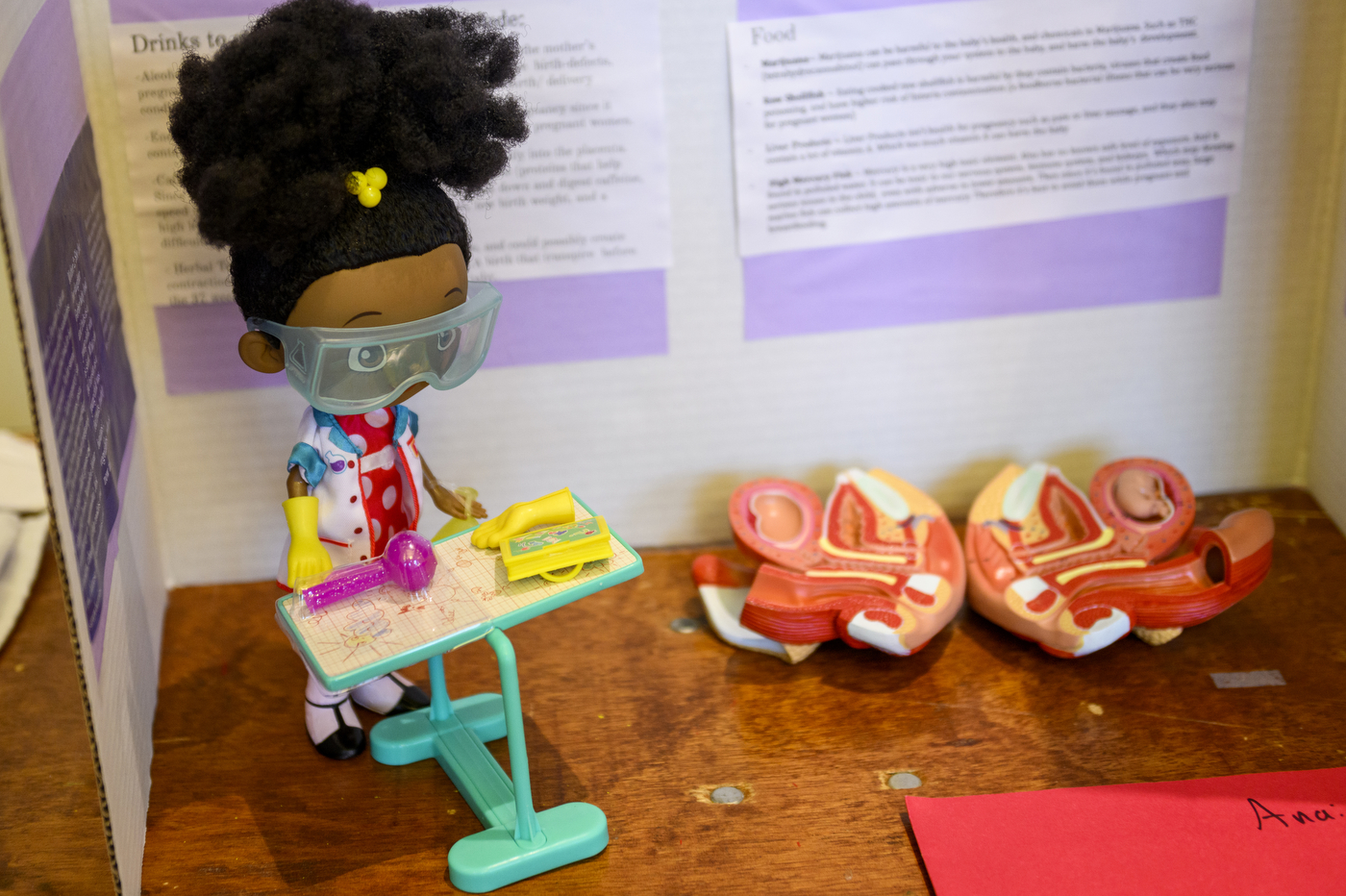 BPS Students in Spotlight During Annual Science Fair