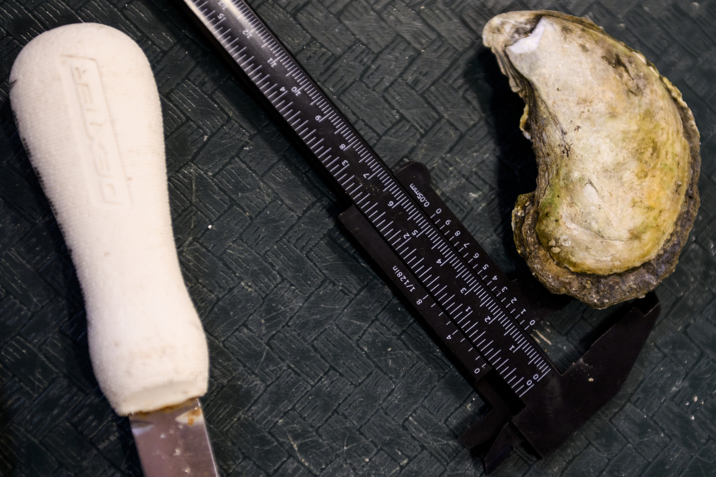 Marine Science Symposium Brings the Ocean into the Classroom