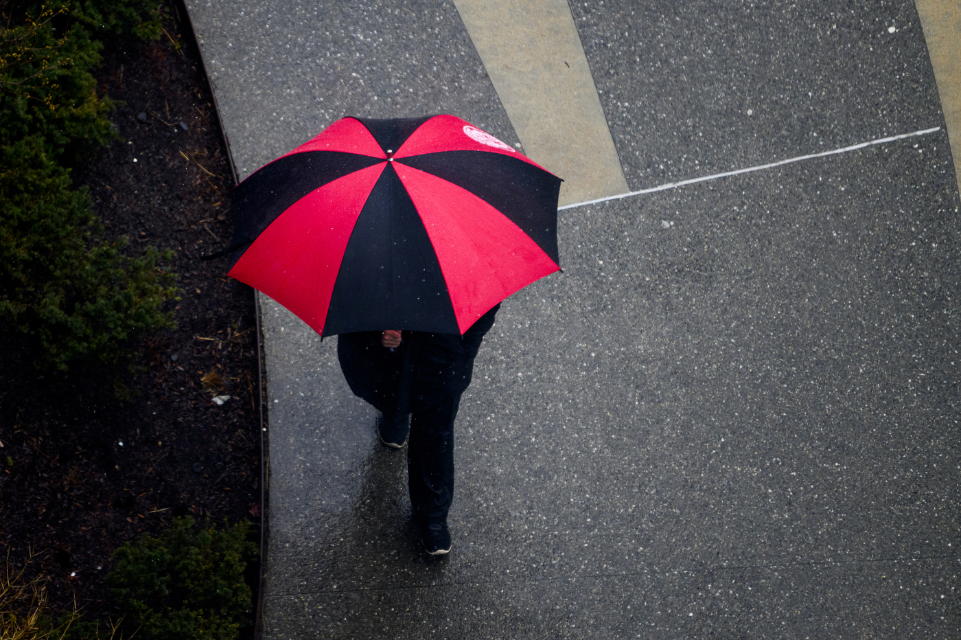 Photos: Nor'easter comes and goes, Northeastern leaders return from ...