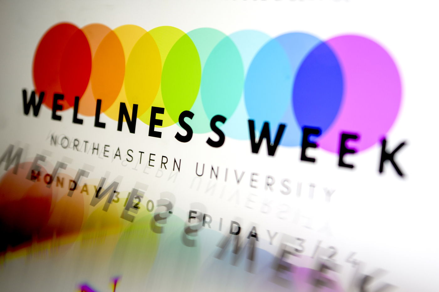 Wellness Week Kicks Off at Northeastern