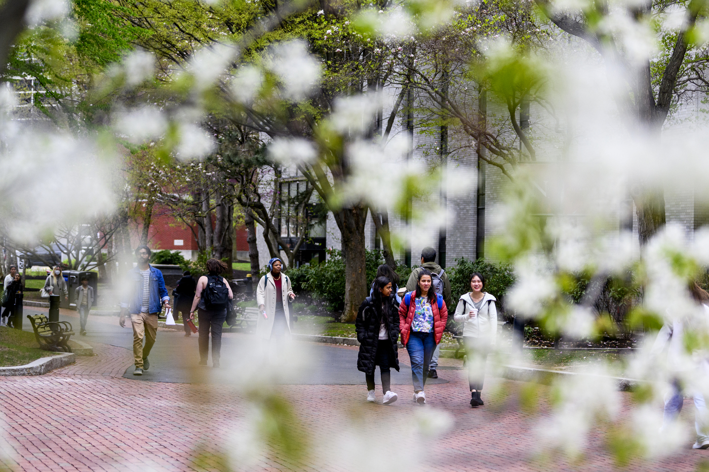 A spring in their steps - Northeastern Global News