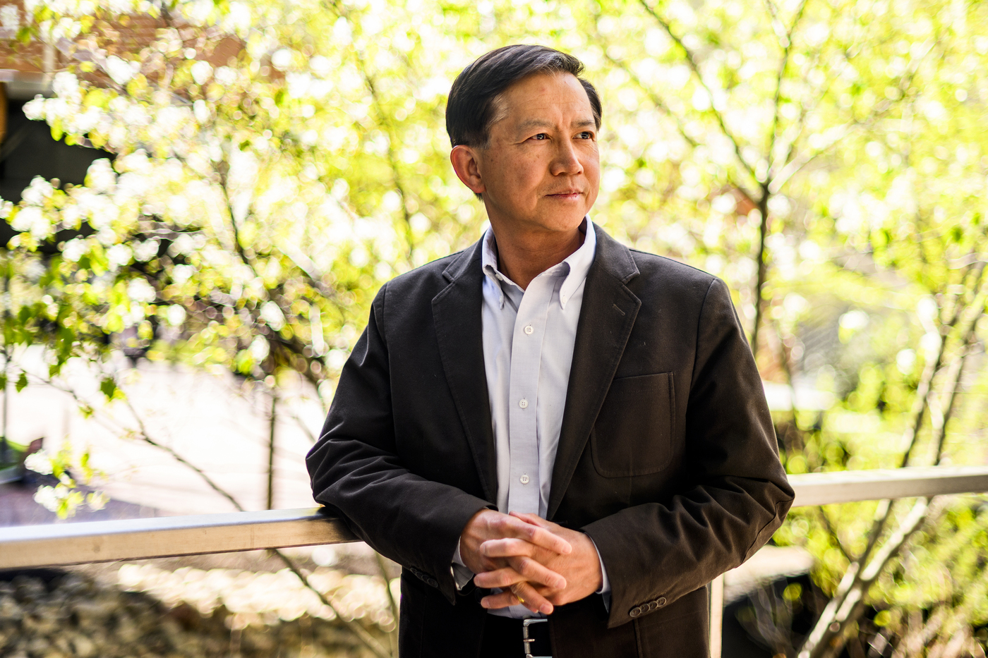 How nature-based solutions are being used to fight rising seas - Northeastern Global News