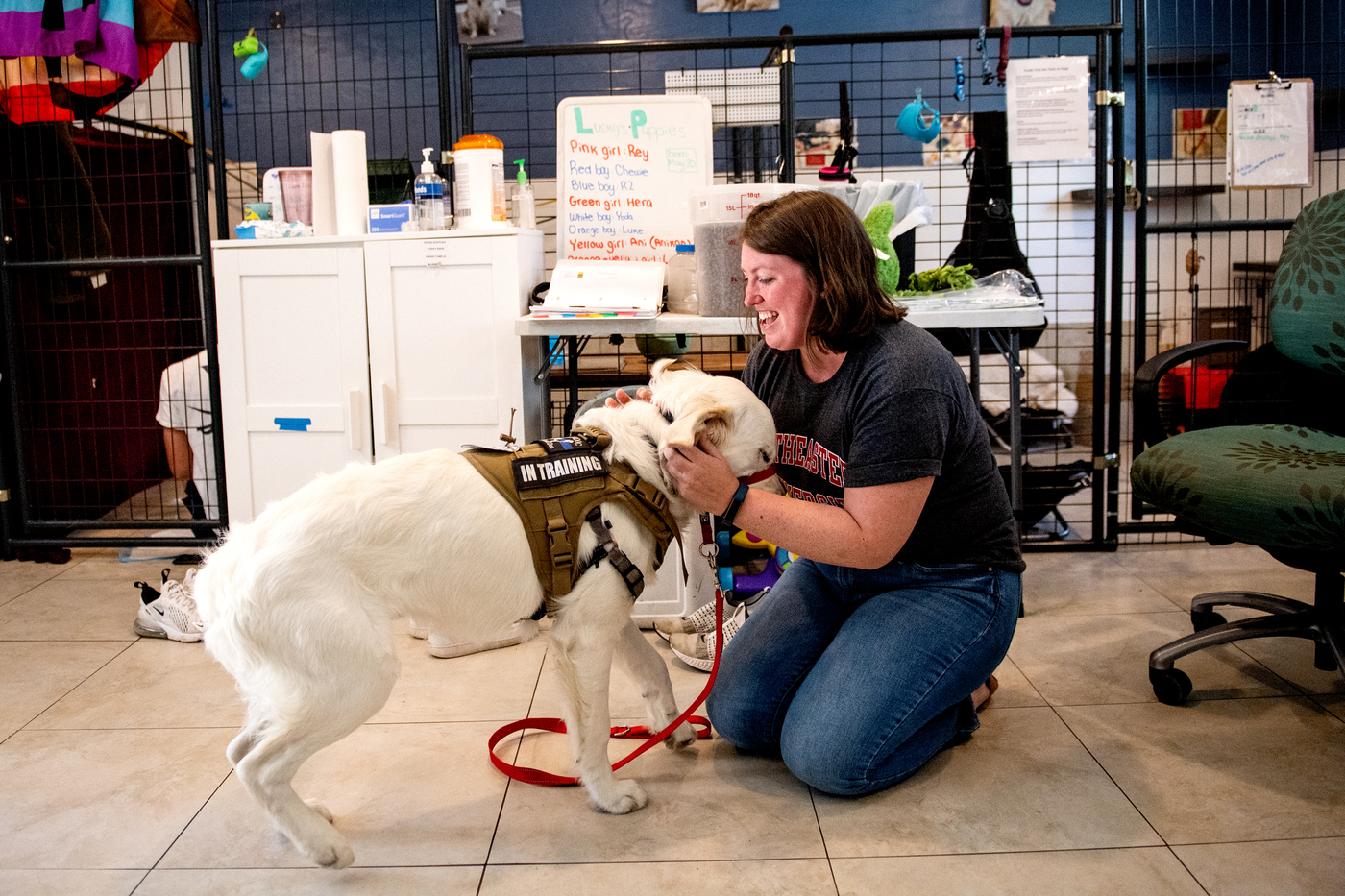 Therapy dog, campus ambassador, very good boy: Cooper as you’ve never ...
