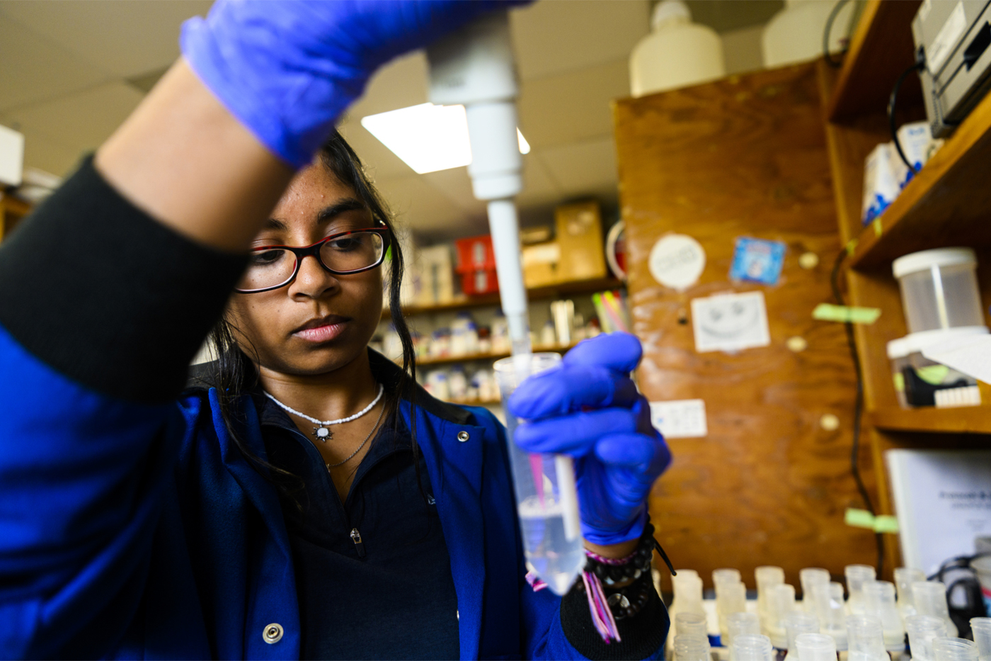 What's Causing the Toxic Algae Blooms in Alaska?