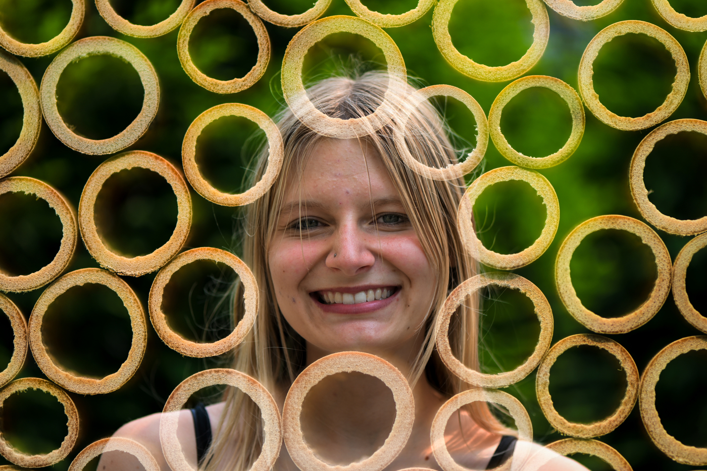 Arboretum Installs 40,000 Honey Bees, Hives and Bee Hotels