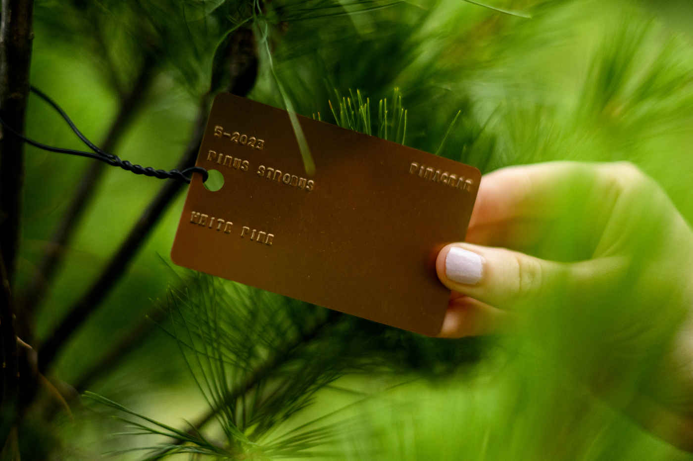 Co-ops drive positive change in the neighborhoods—and create a pipeline ...