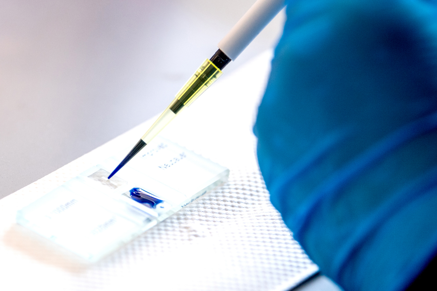 New Club Will Help Students Learn About Research Opportunities