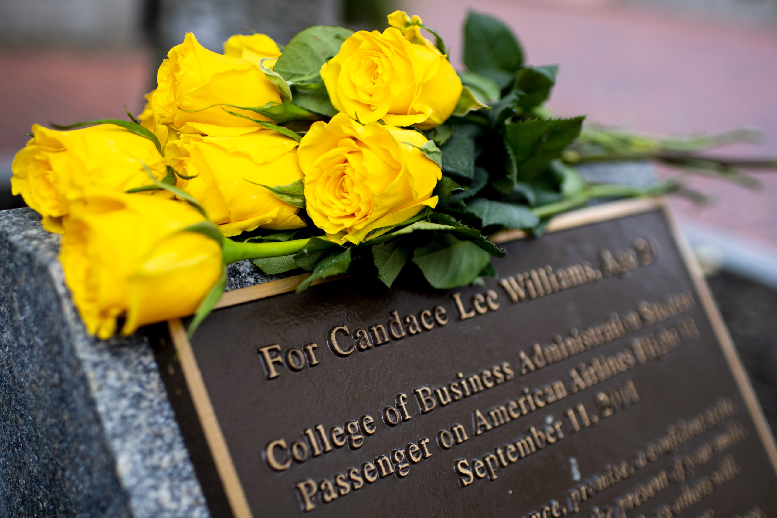 Sept. 11 victim remembered - Northeastern Global News